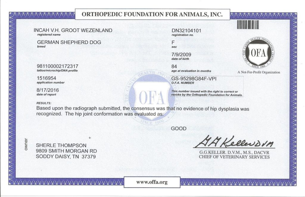 OFA Hips | Sequoyah German Shepherds