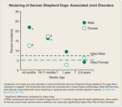 Spaying and Neutering | Sequoyah German Shepherds
